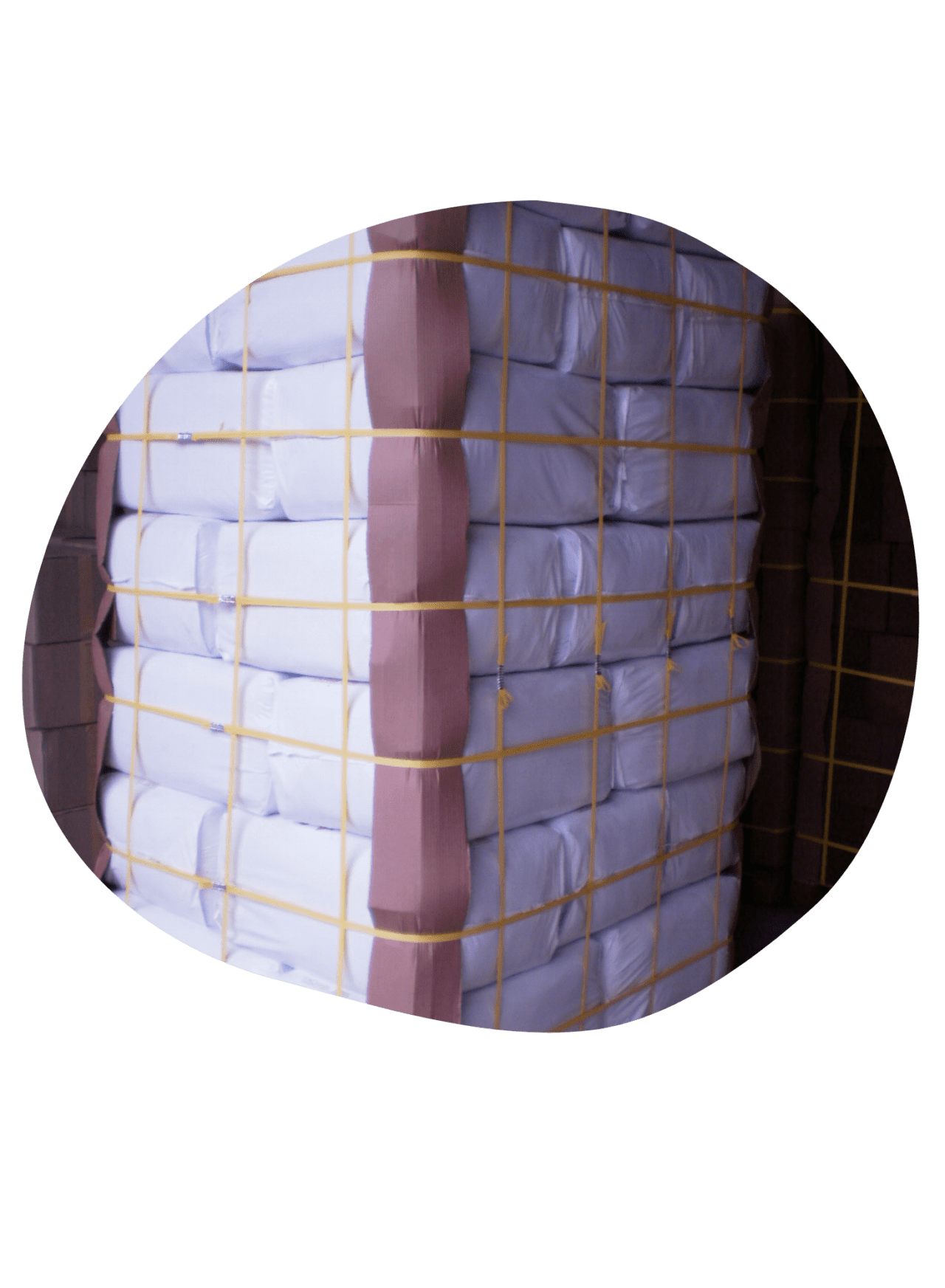 Semi compressed 200 liter Coco Peat bales - TeeDee Lanka Exports (Pvt) Ltd